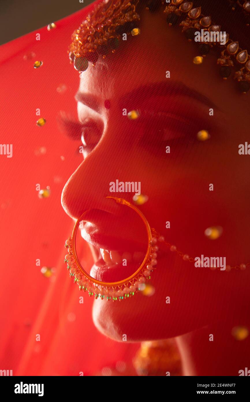 Beautiful Indian Bride, with a veil Stock Photo - Alamy