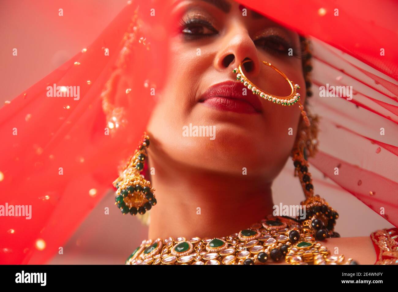 Beautiful Indian Bride, with a veil Stock Photo - Alamy
