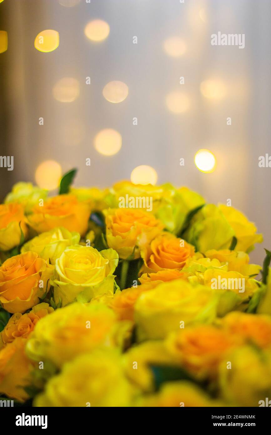 Bouquet of yellow roses. Beautiful yellow roses and bokeh lights in ...