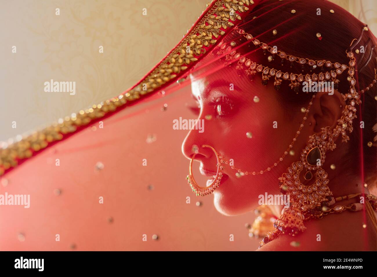 Profile of an Indian Bride through a veil Stock Photo - Alamy