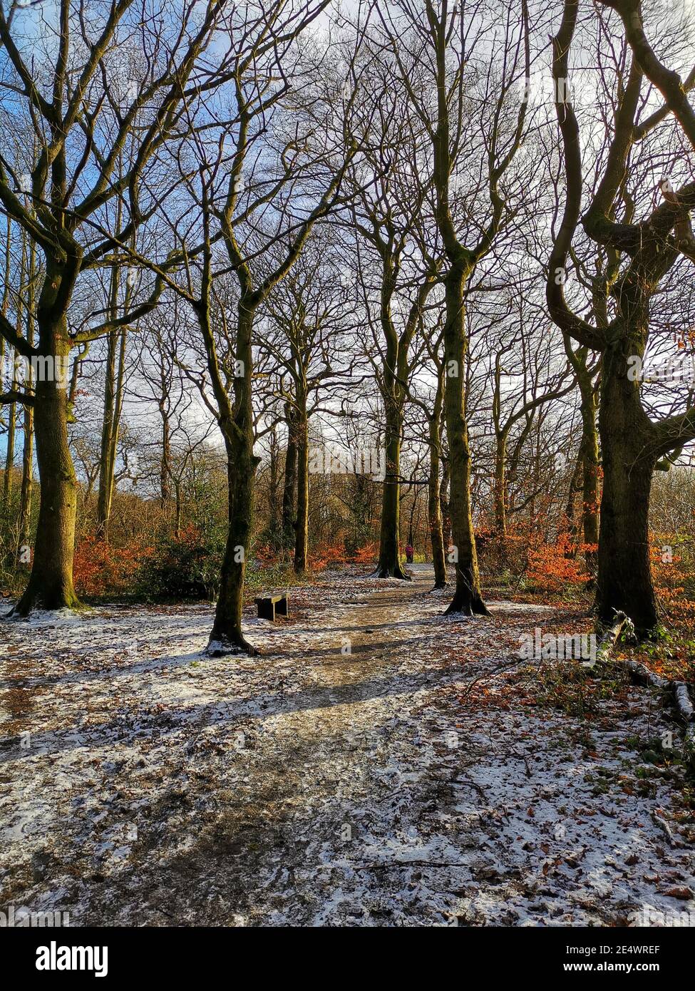 January scene hi-res stock photography and images - Alamy