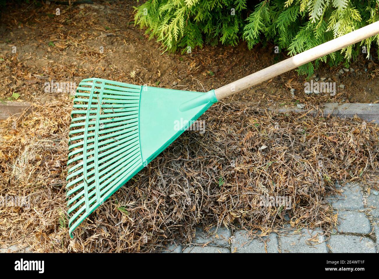 Spring cleaning in the garden. Raking dry leaves. Garden hobby Stock ...