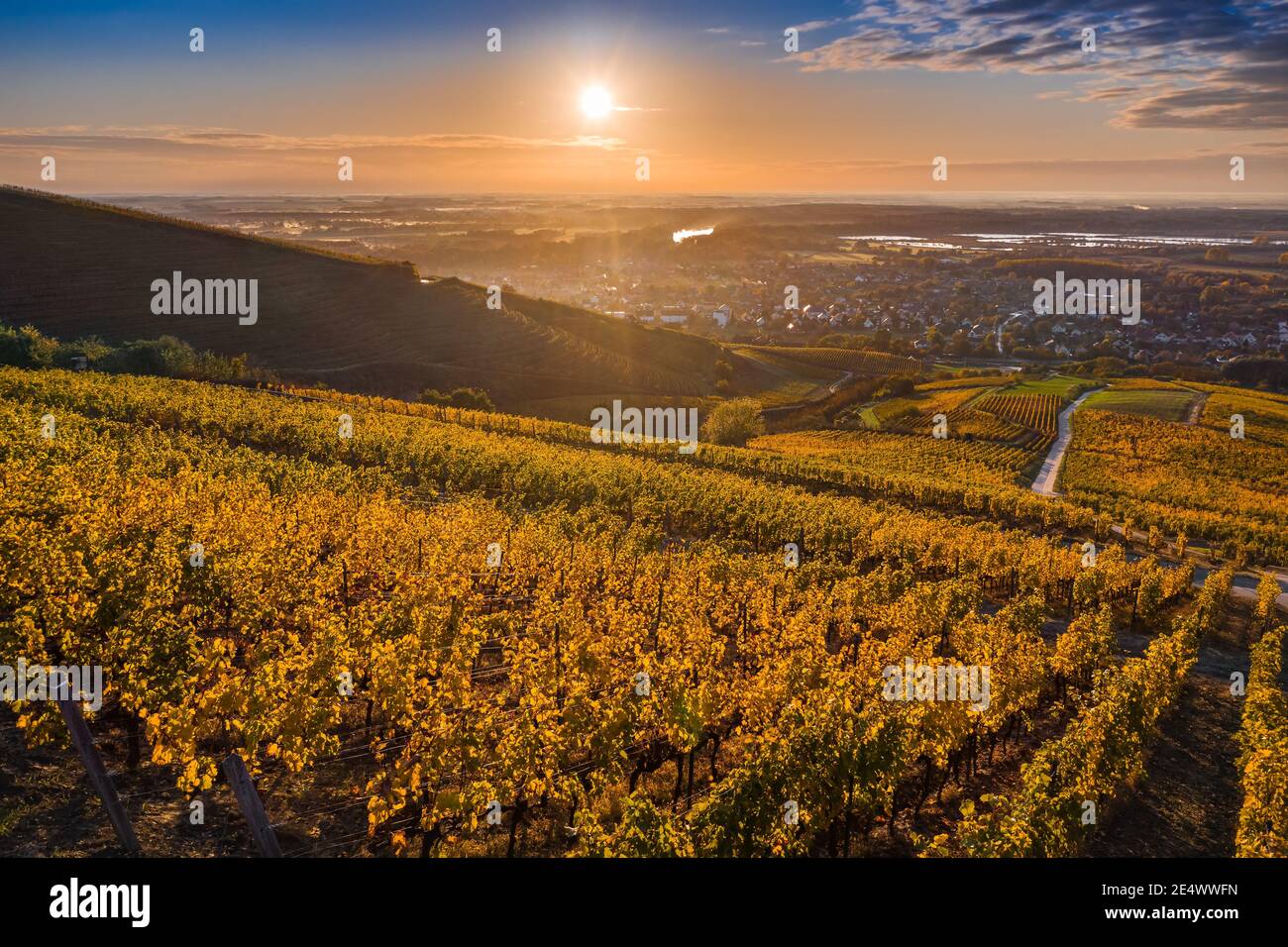 Tokaj, Hungary - Aerial view of the world famous Hungarian vineyards of ...