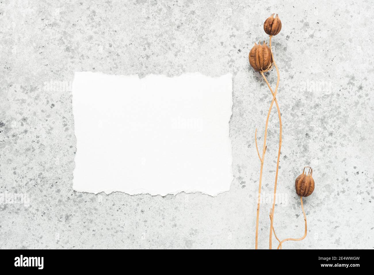 Id card stationery hi-res stock photography and images - Alamy