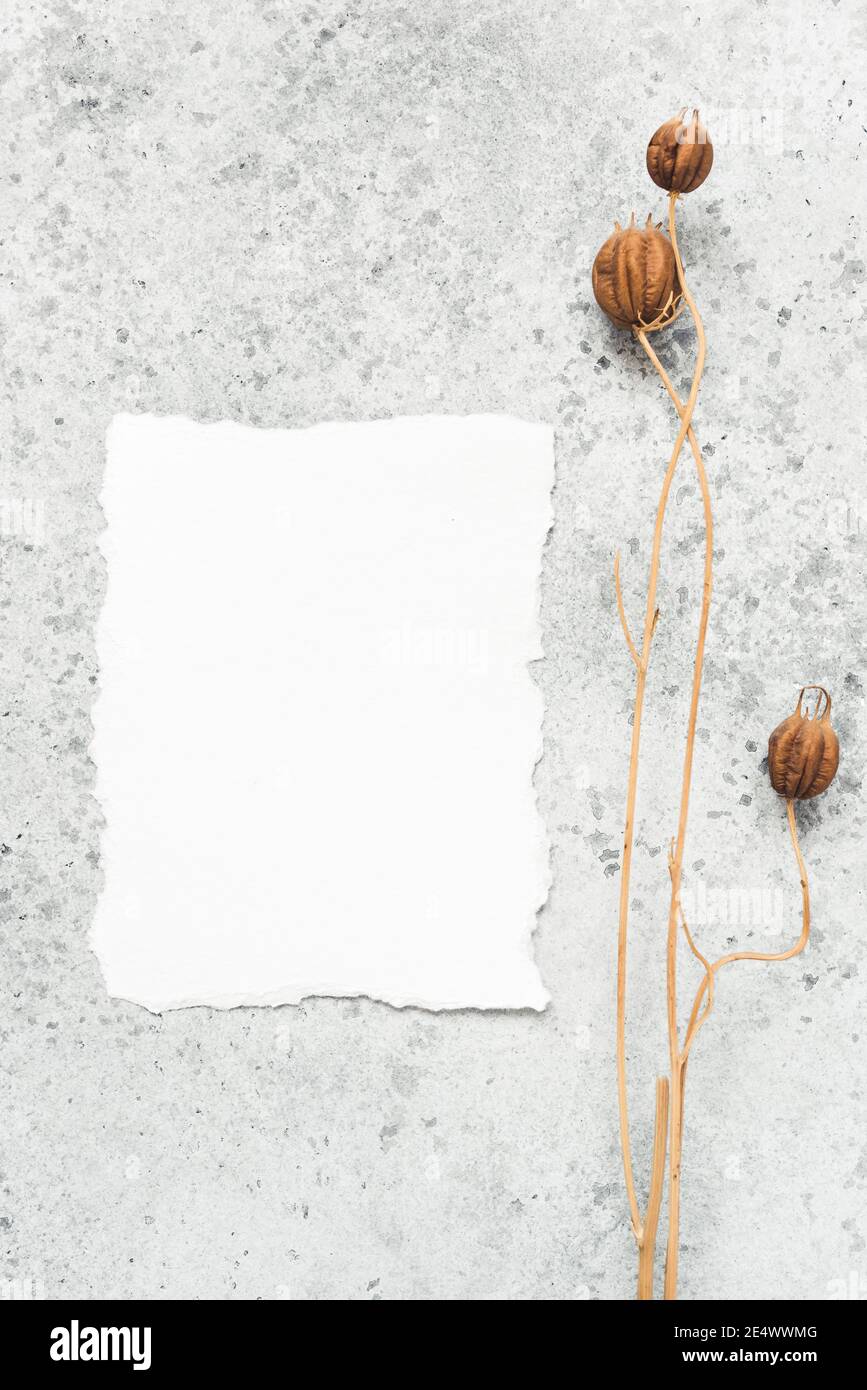 Id card stationery hi-res stock photography and images - Alamy