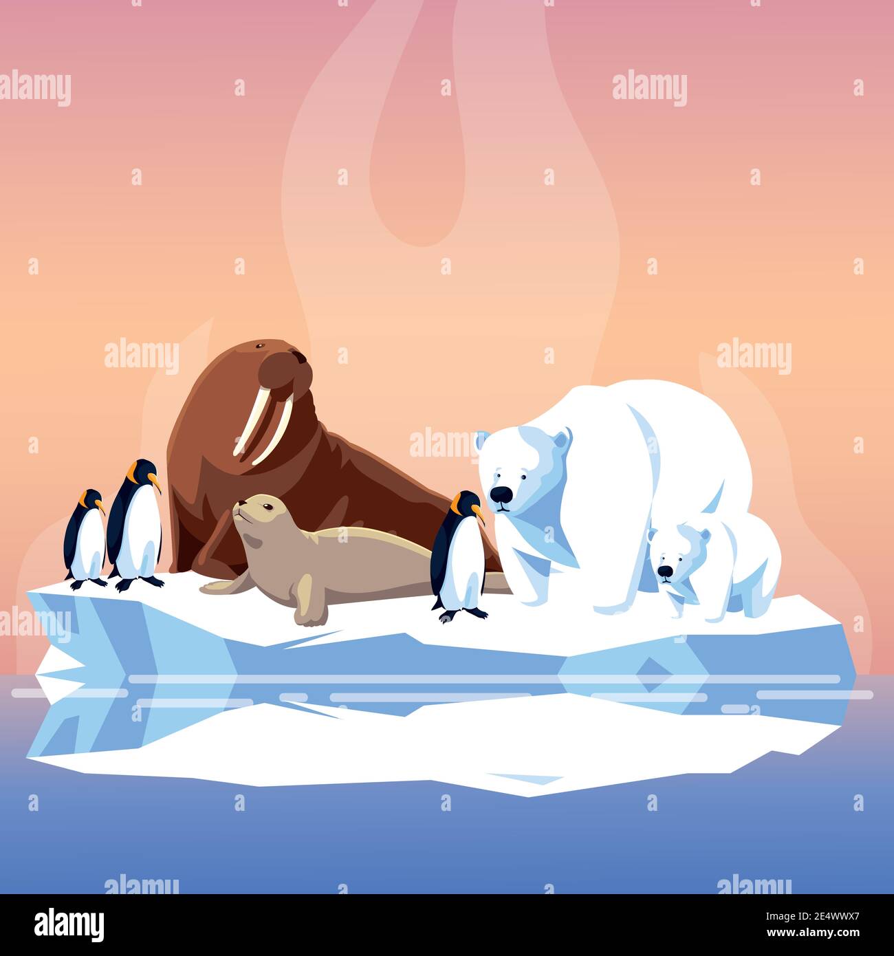 walrus penguins seal and polar bears on melted iceberg north pole ...