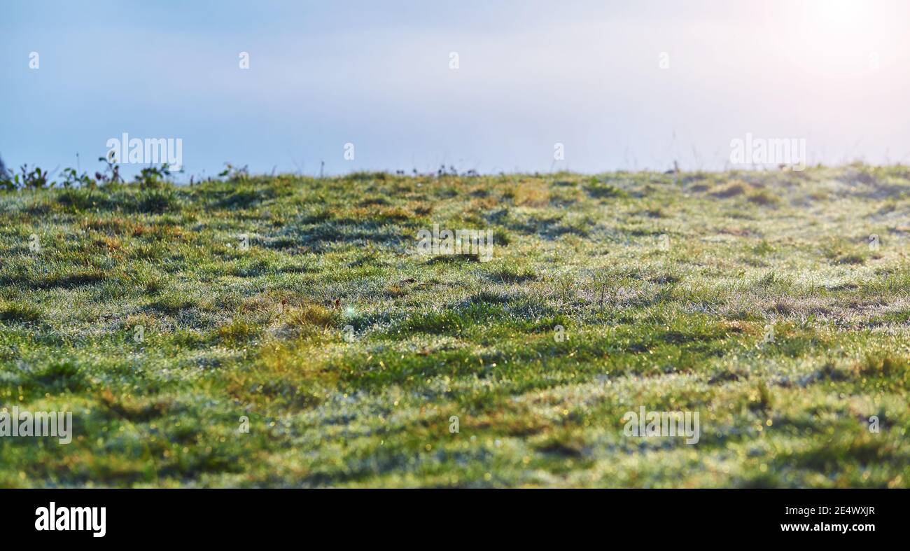 beautiful fresh morning with sun rays and dramatic light Stock Photo ...