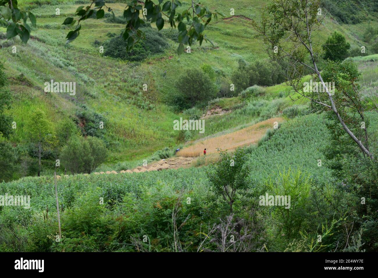 Gansu province mountains hi-res stock photography and images - Alamy