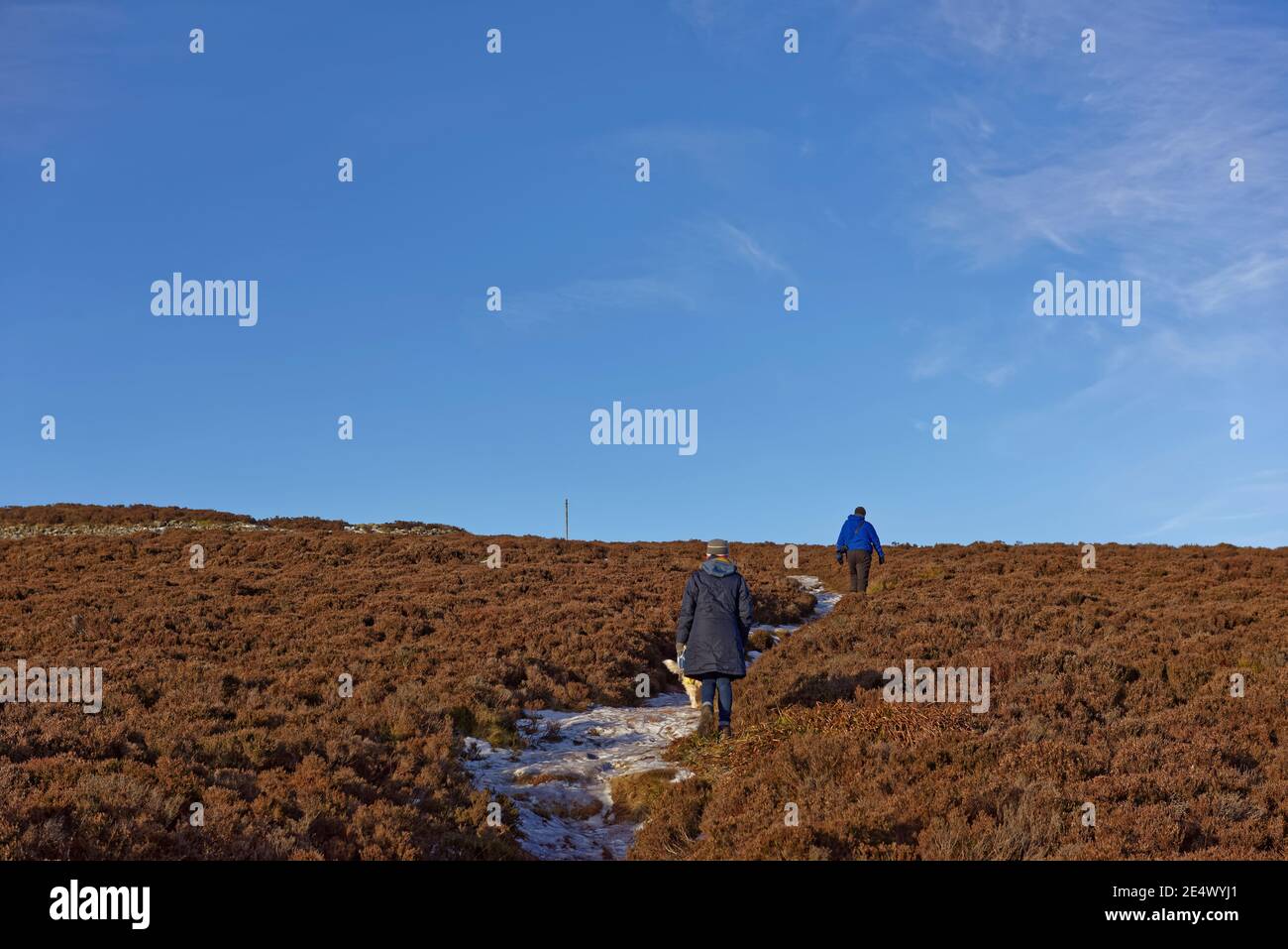 Heather cutting hi-res stock photography and images - Alamy