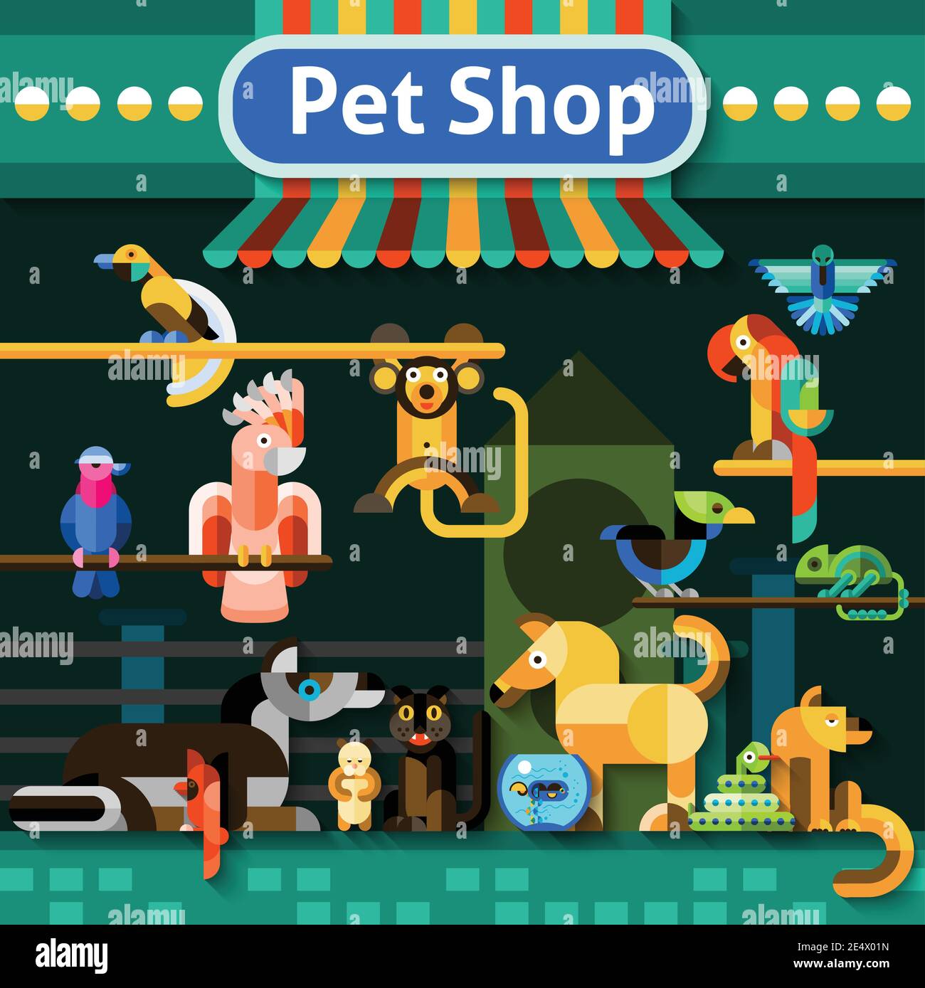 Pet shop background with pets domestic birds snake and iguana vector ...