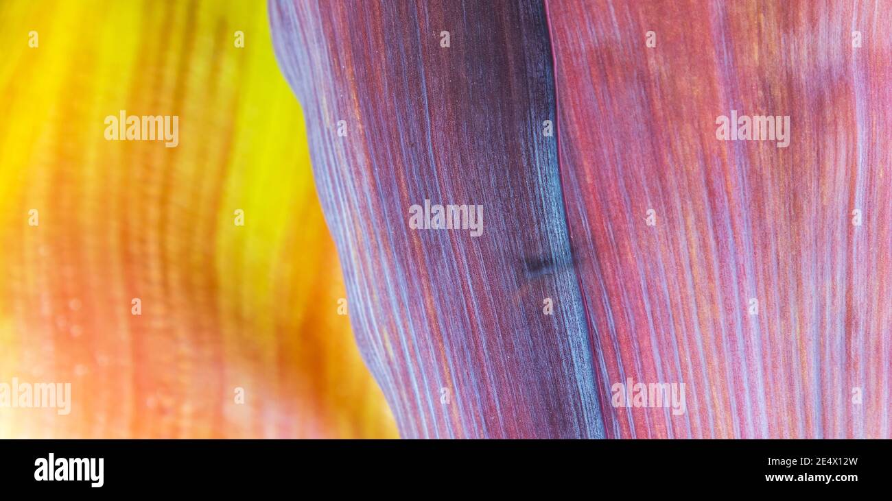 Assortment of colorful clothes for sale Stock Photo - Alamy