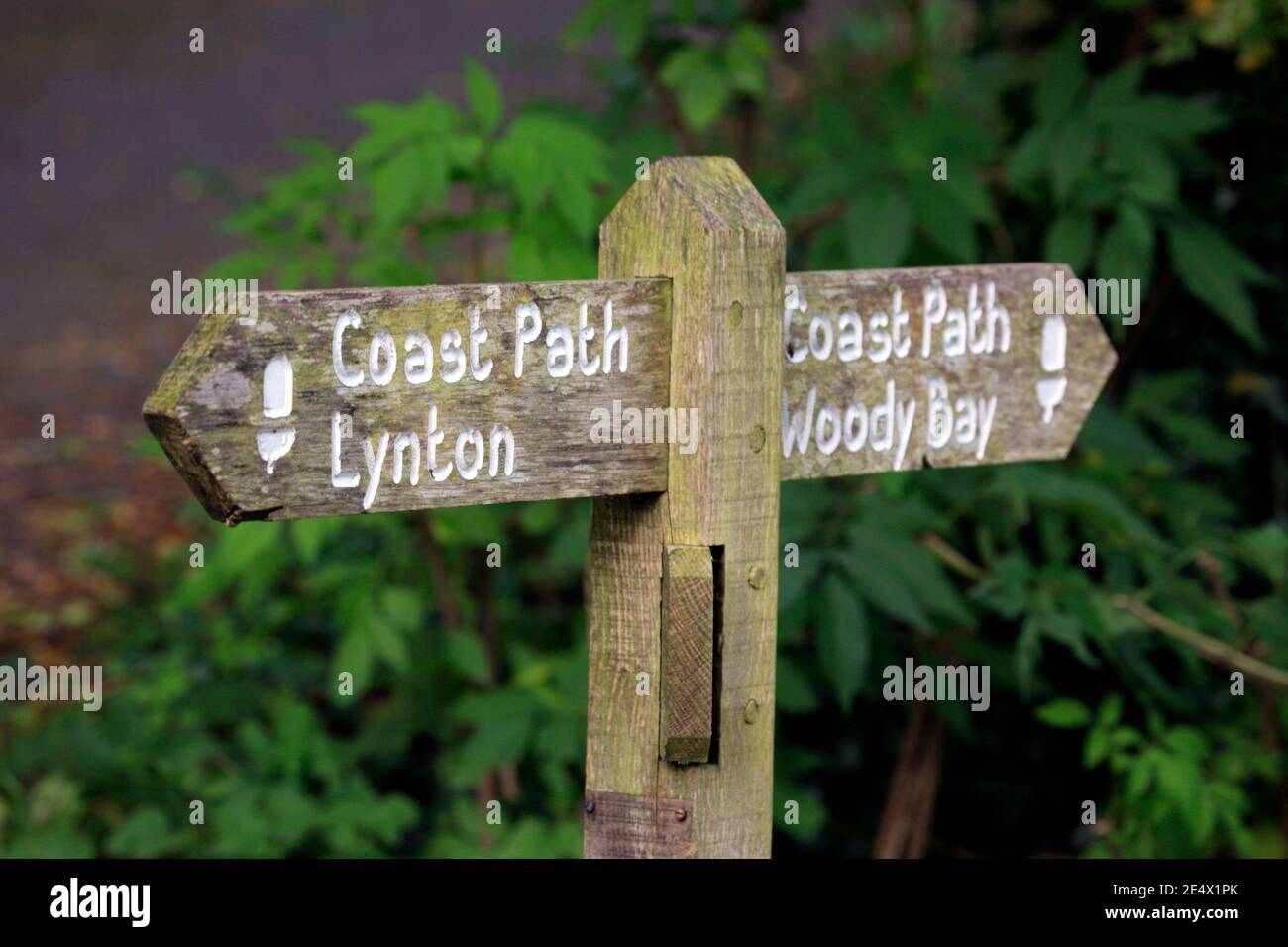 England coast path acorn hi-res stock photography and images - Alamy
