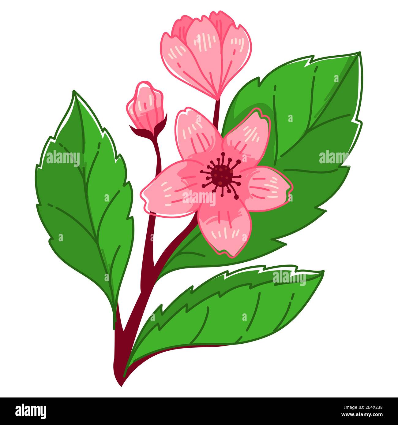Blooming sakura tree, cherry blossom branch vector Stock Vector Image ...