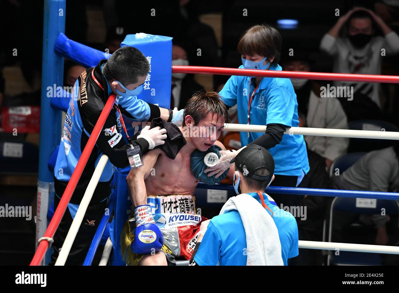 Tokyo, Japan. 22nd Jan, 2021. Gakuya Furuhashi Boxing : Japanese Super ...