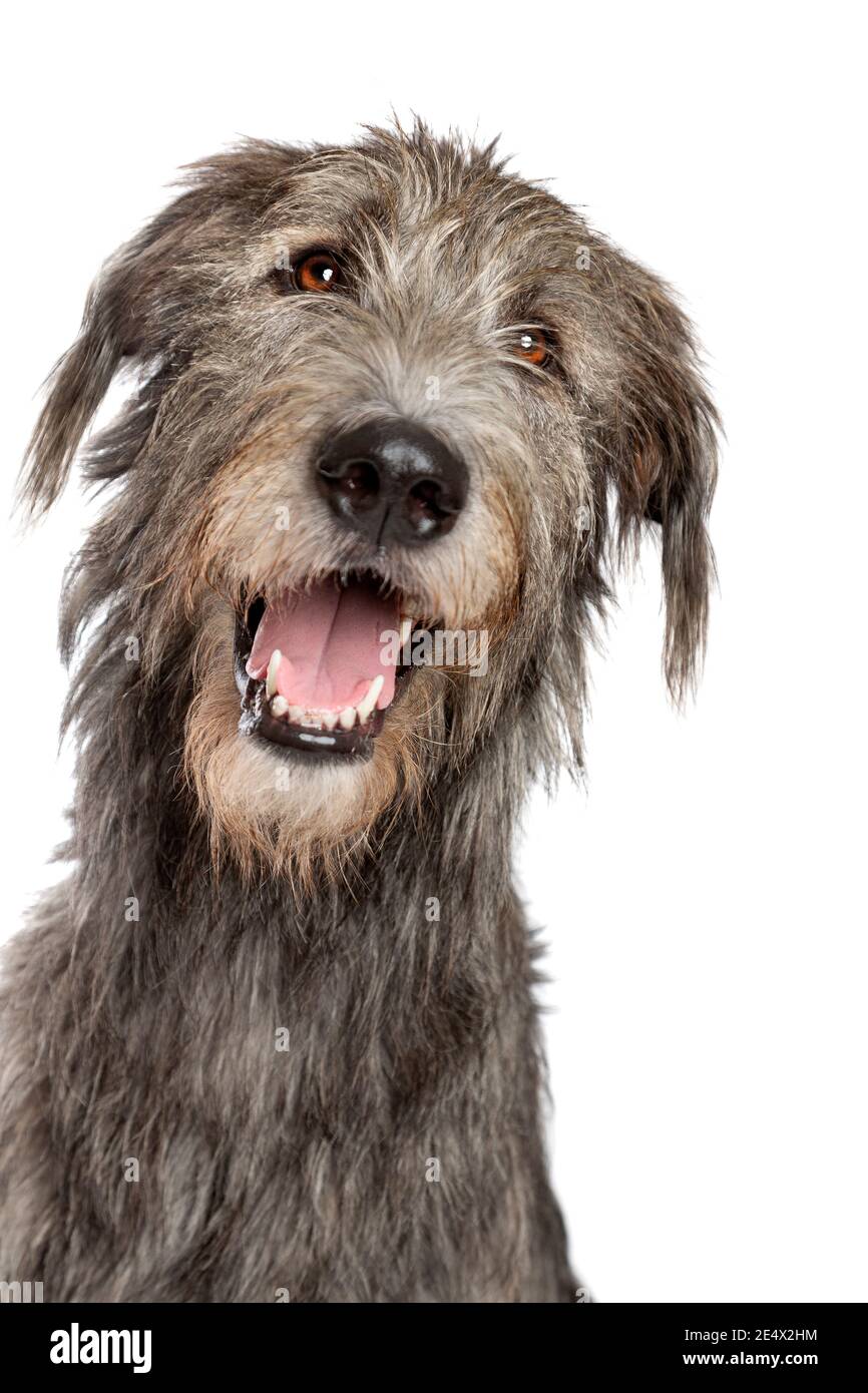 Irish background hi-res stock photography and images - Alamy