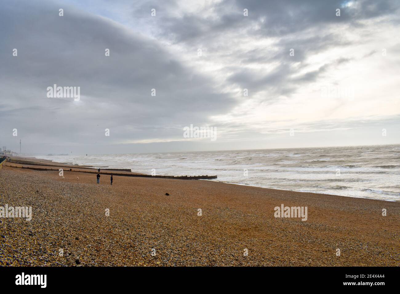 Walking dogs on the beach, Hove, UK Stock Photo - Alamy