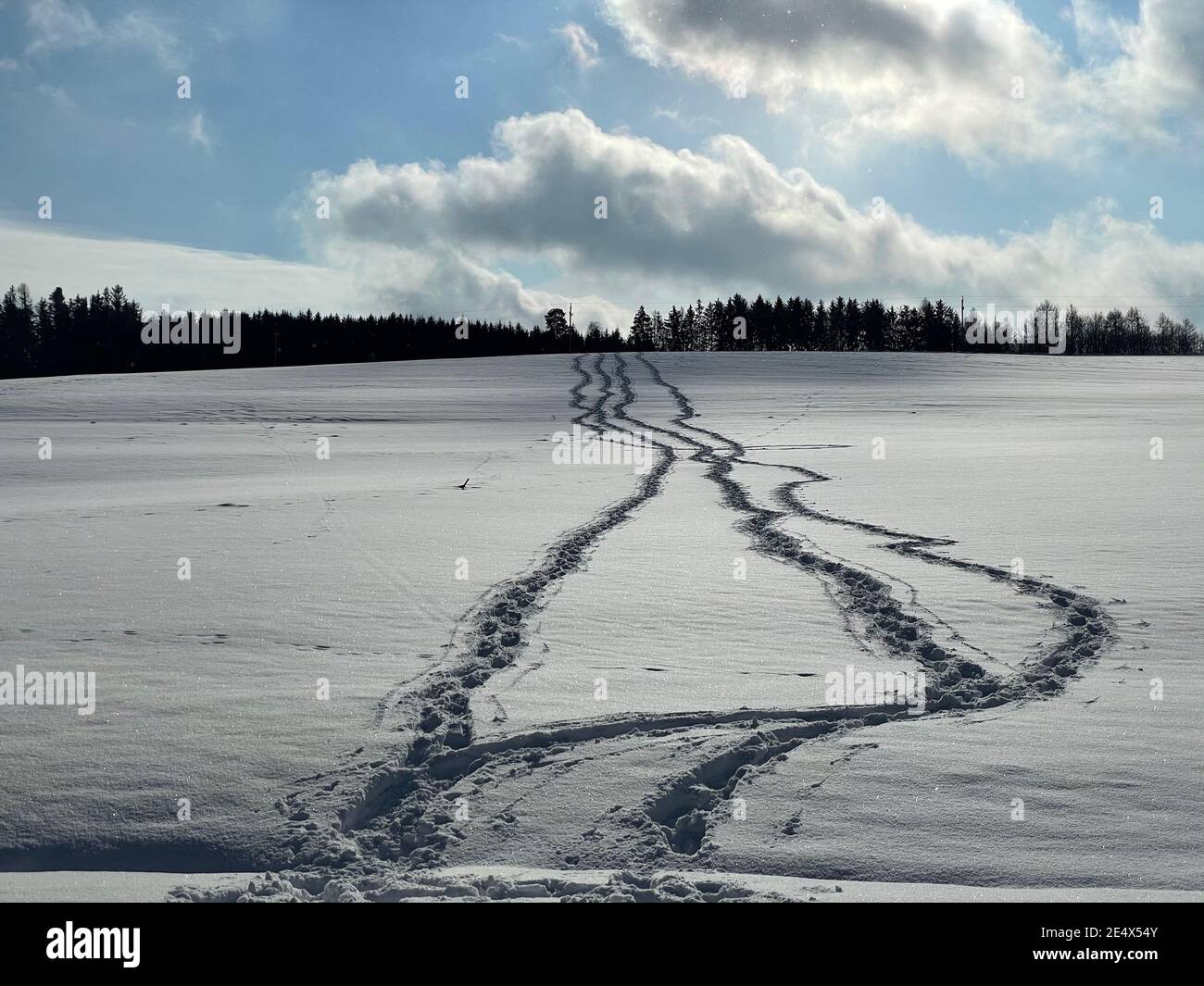 Snowshoe tracks over a white snow-covered field in Austria Stock Photo ...