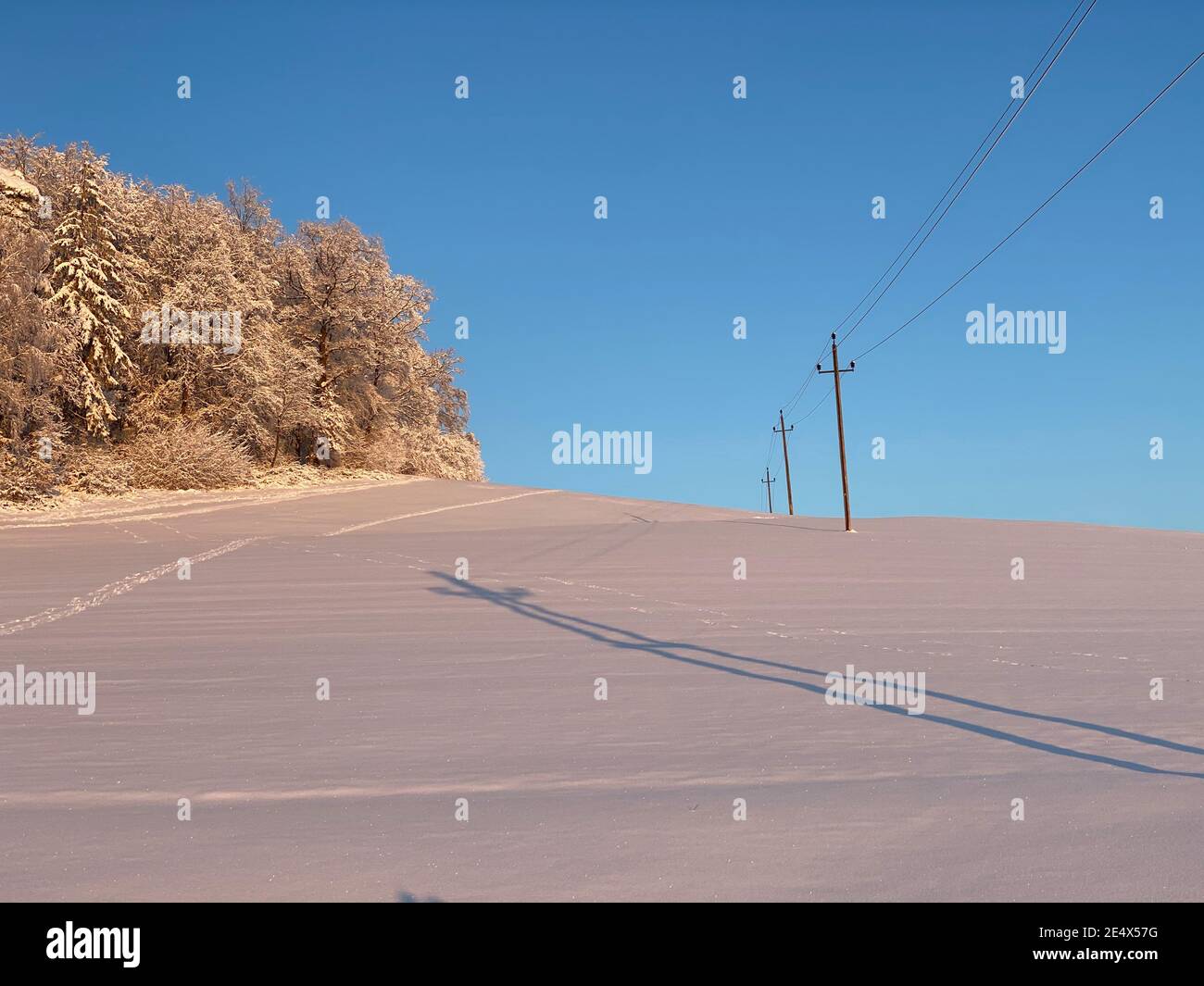 Snowshoe tracks over a white snow-covered field in Austria Stock Photo ...