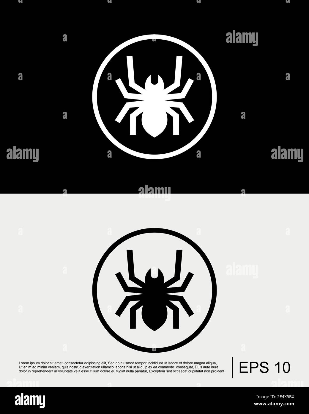 Spider Insect Icon Template Stock Vector Image & Art - Alamy