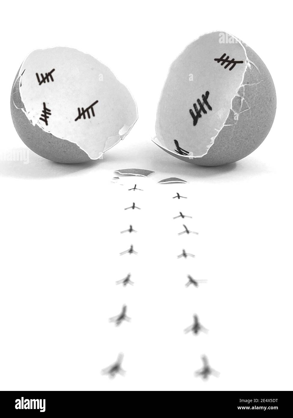 Great Eggscape, broken eggshell with tracks leading away Stock Photo ...