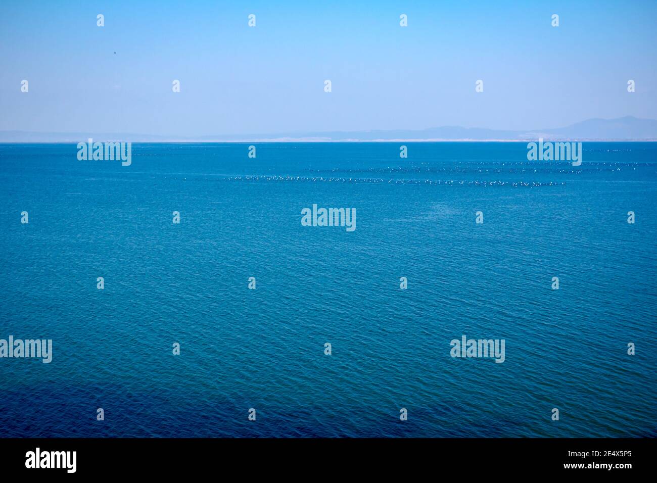 Farm of seashells are placed on an open sea and silhouettes of far away ...