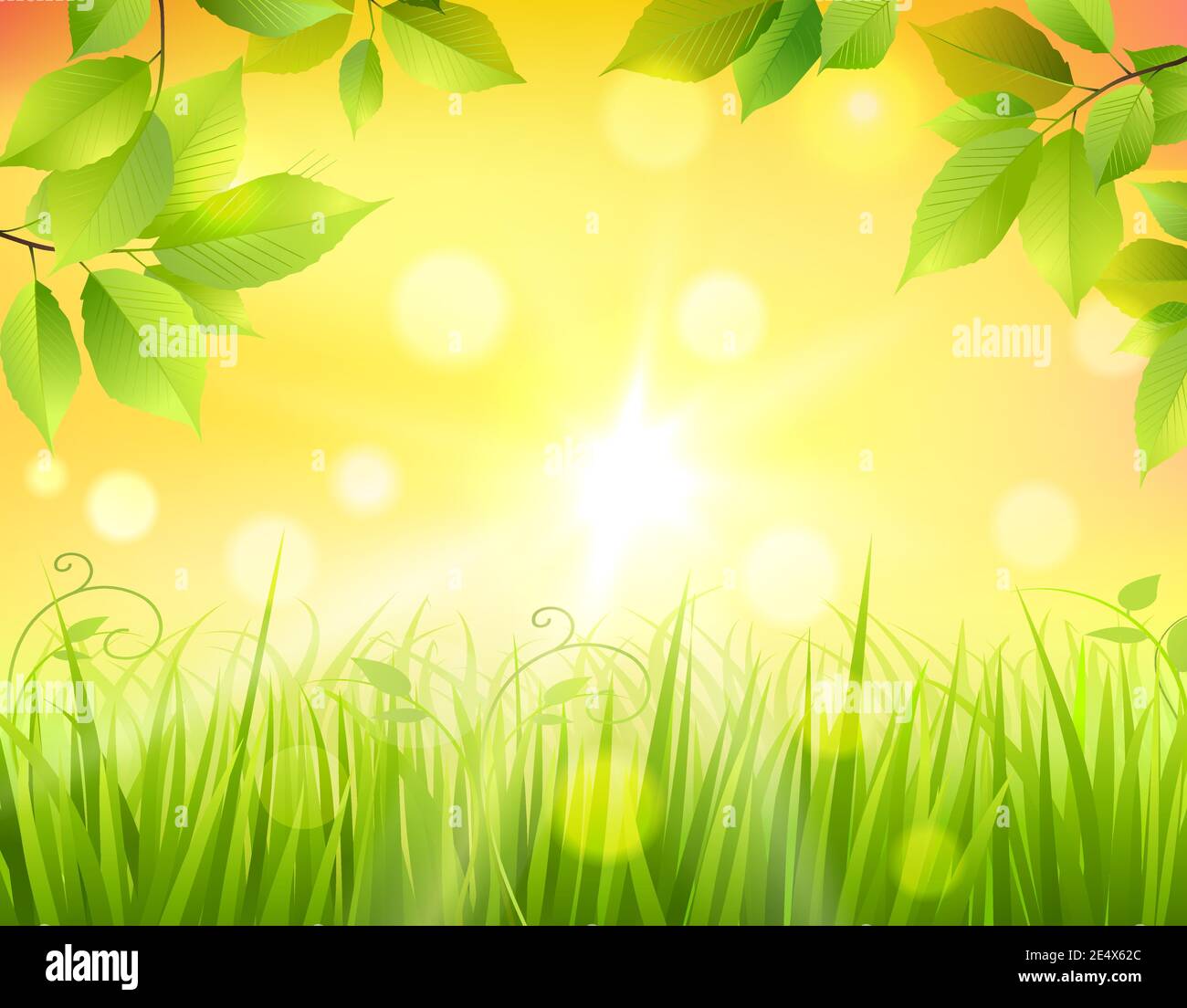 Sunrise in forest background with green tree leaves frame and sun beams ...