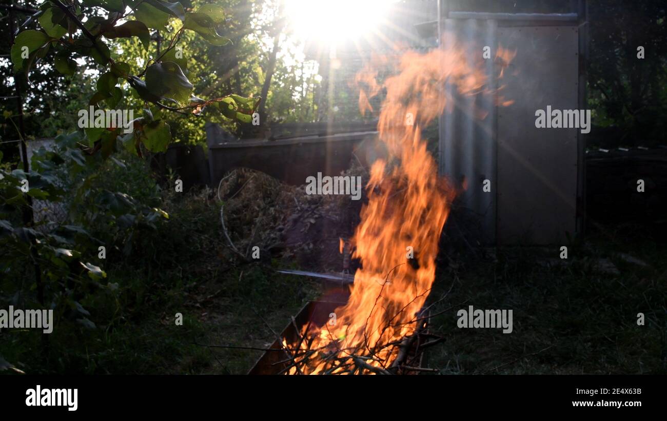Defocus bright red flame of bonfire burning outdoor with flare sunbeams ...