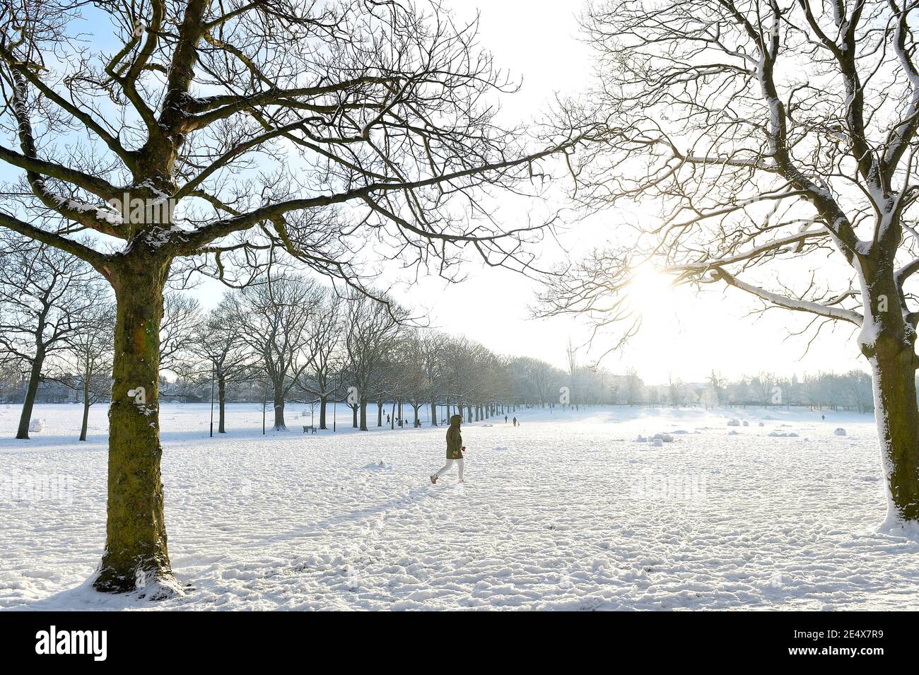 Leicester, Leicestershire, UK 25th Jan 2021. UK. Weather. Snow. A snowy ...