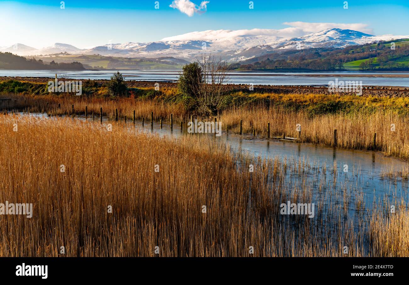 The River Conwy Estuary, viewed from Glan Conwy looking towards Tal Y ...