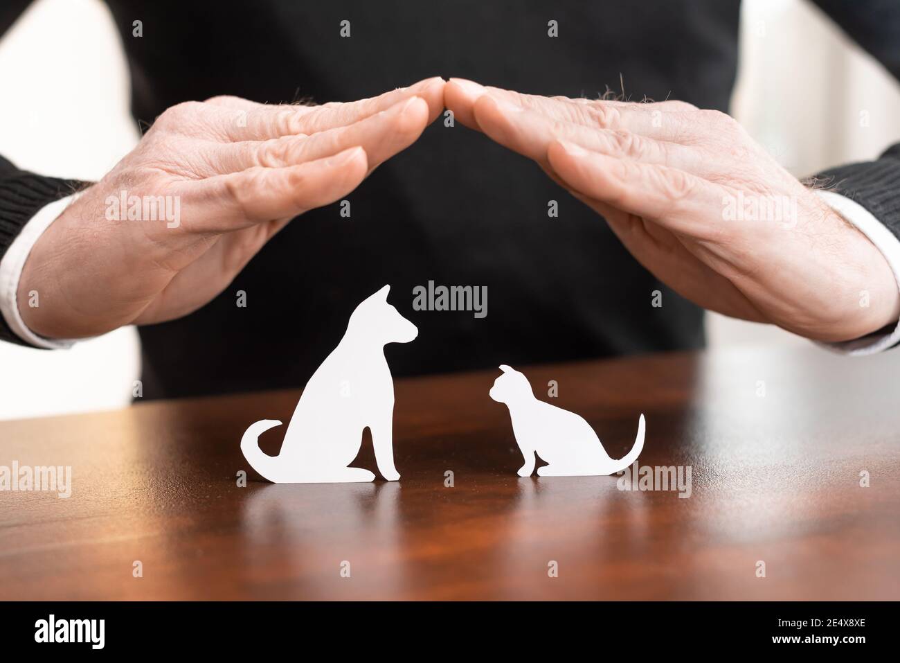 Dog protecting cat hi-res stock photography and images - Alamy