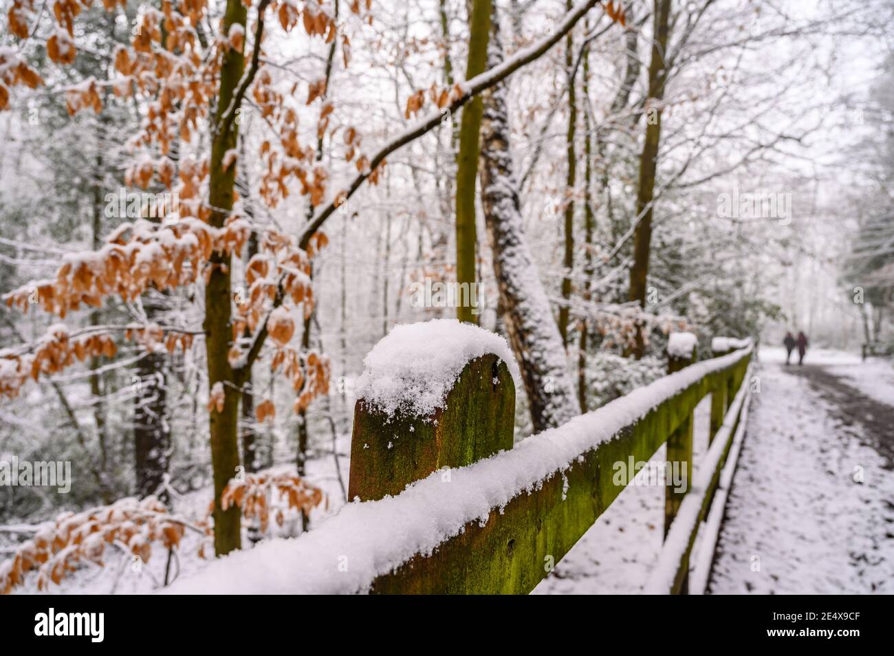What is worsley loopline hi-res stock photography and images - Alamy