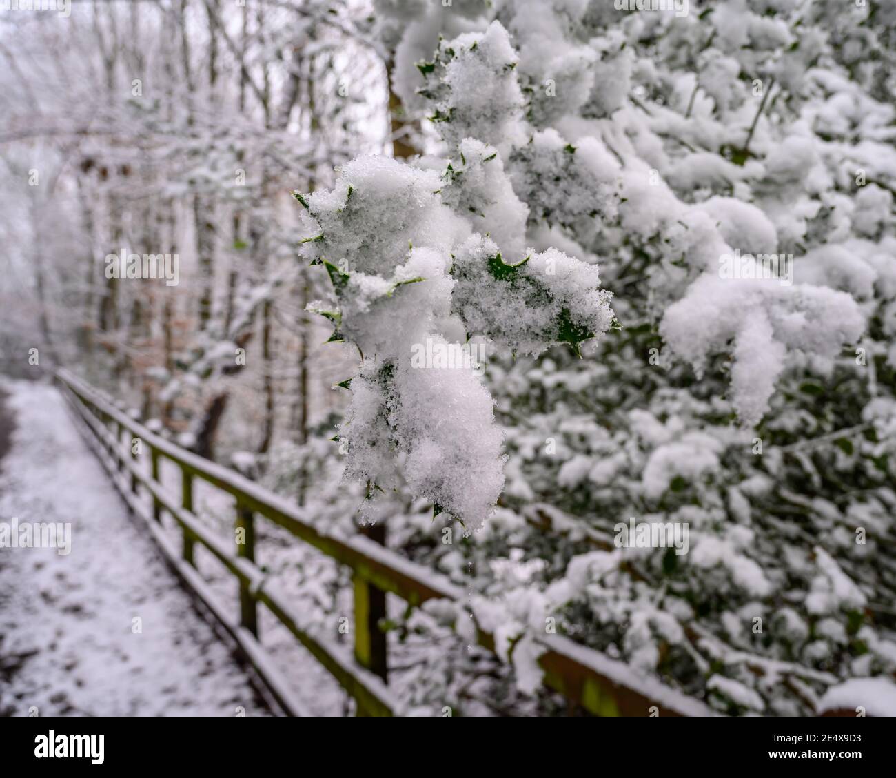 What is worsley loopline hi-res stock photography and images - Alamy