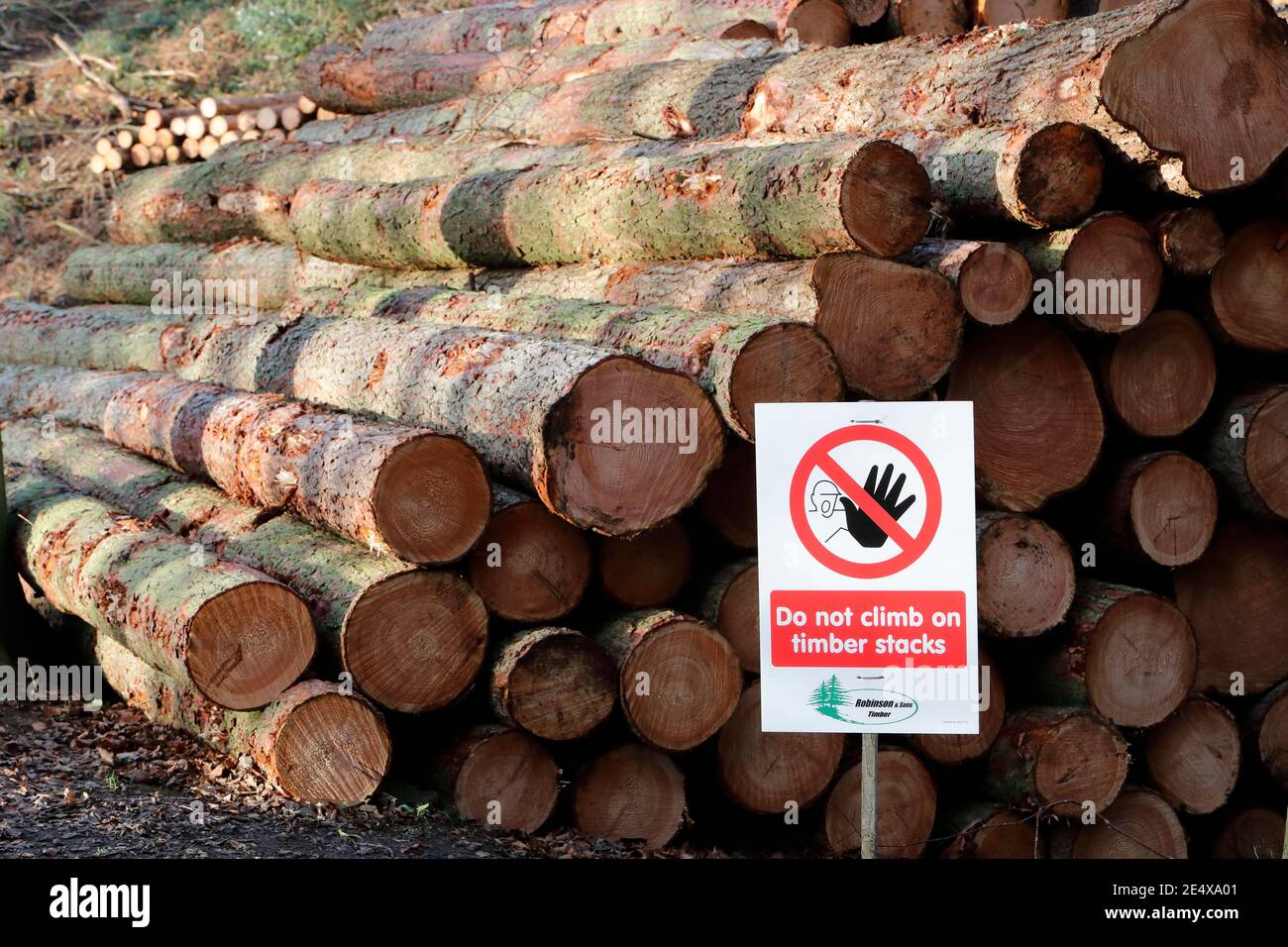 Timber stacked in the Yorkshire Waters Lindley Wood Reservoir area ...