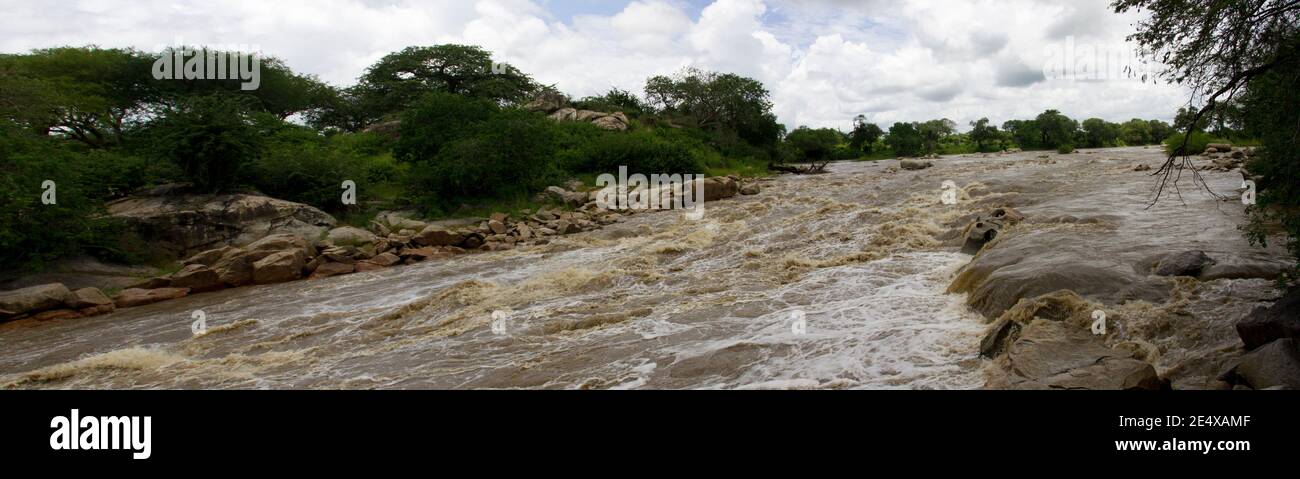 In a normal years rainfall the high water causes the Great Ruaha River ...