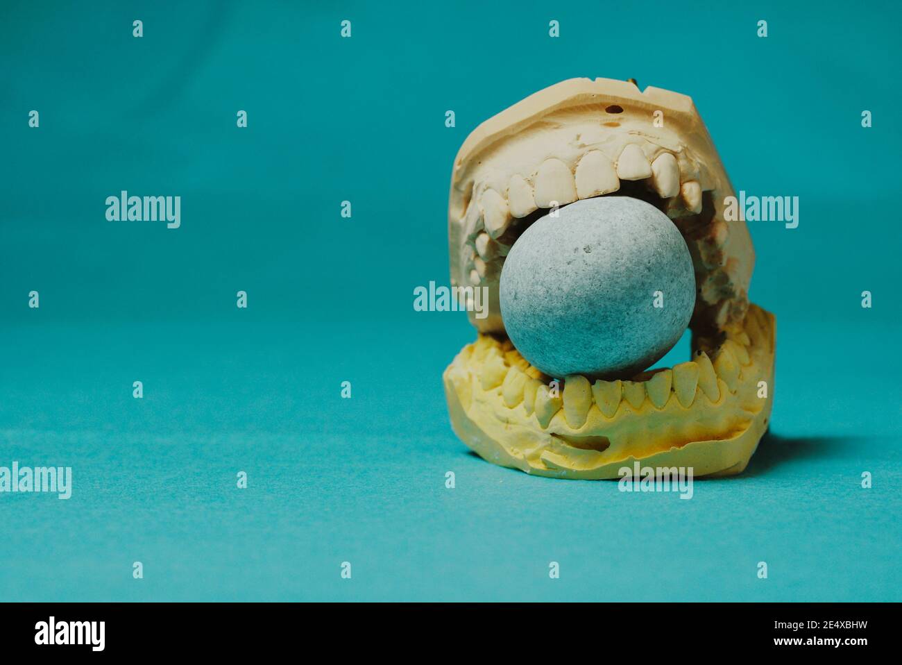 Strong teeth hi-res stock photography and images - Alamy