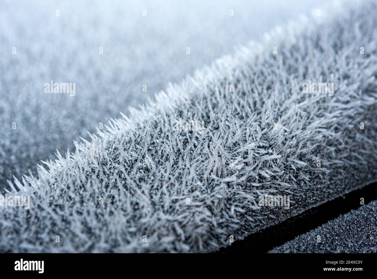 Sharp frost hi-res stock photography and images - Alamy