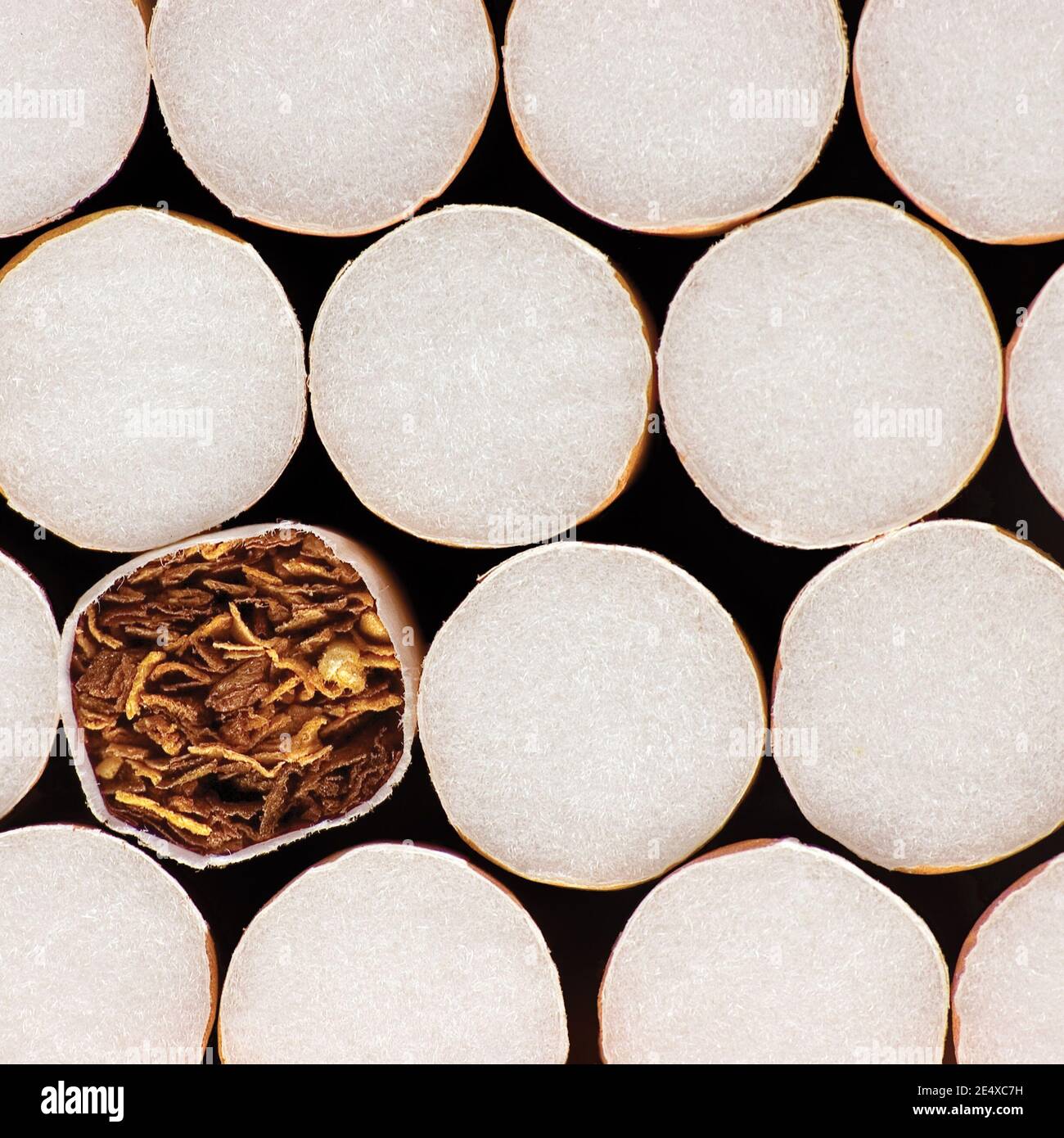 Stacked Filter Cigarettes, Macro Closeup Pattern, Smoking Addiction ...