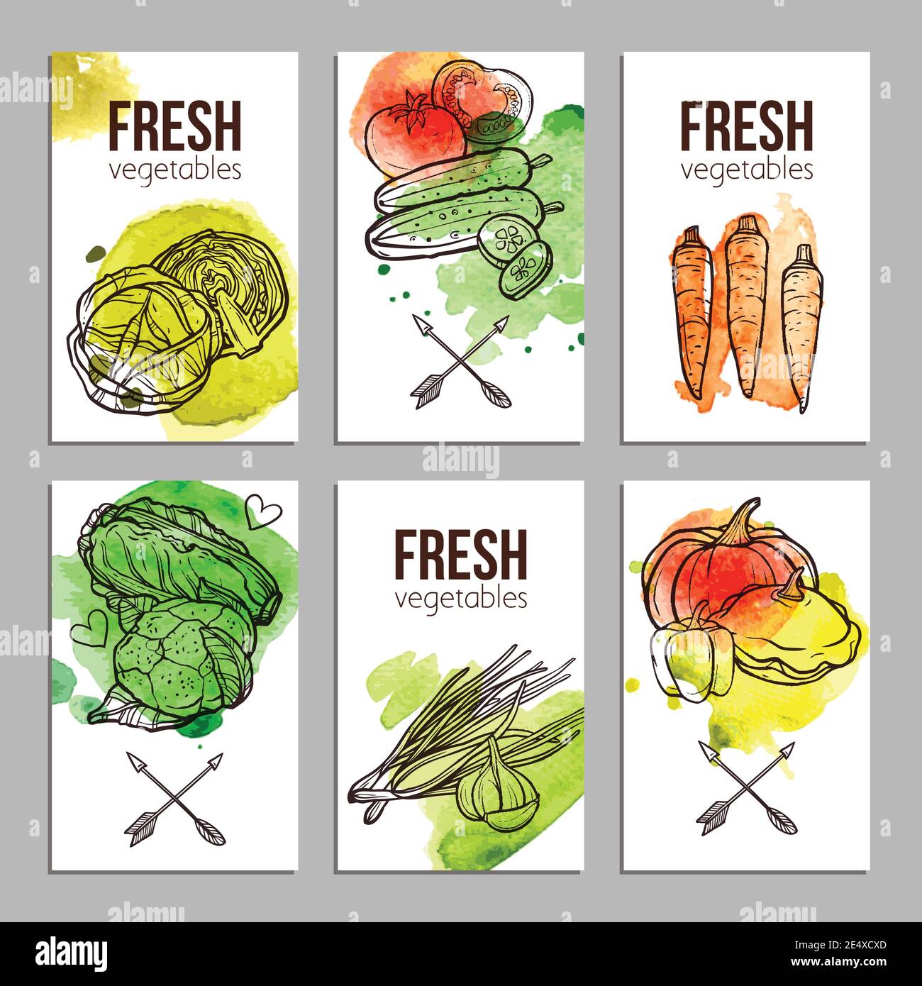 Business cards with fresh hand drawn vegetables set isolated vector ...