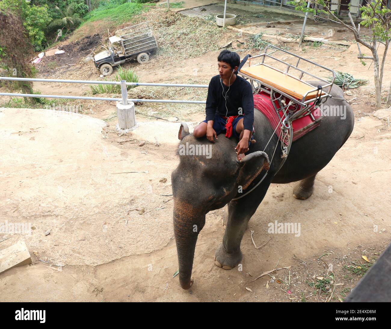 Guy riding an elephant hi-res stock photography and images - Alamy