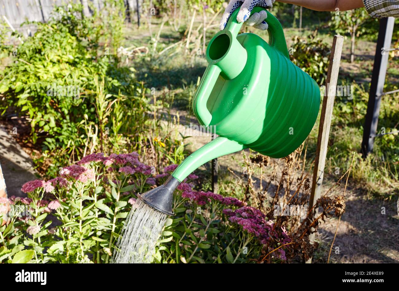 Woman hold plant pot hi-res stock photography and images - Alamy