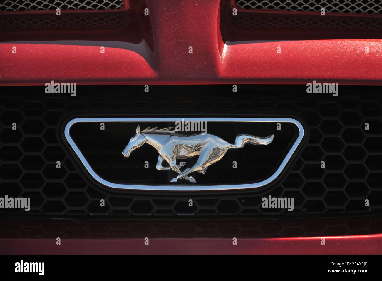 Ford mustang badge hi-res stock photography and images - Alamy