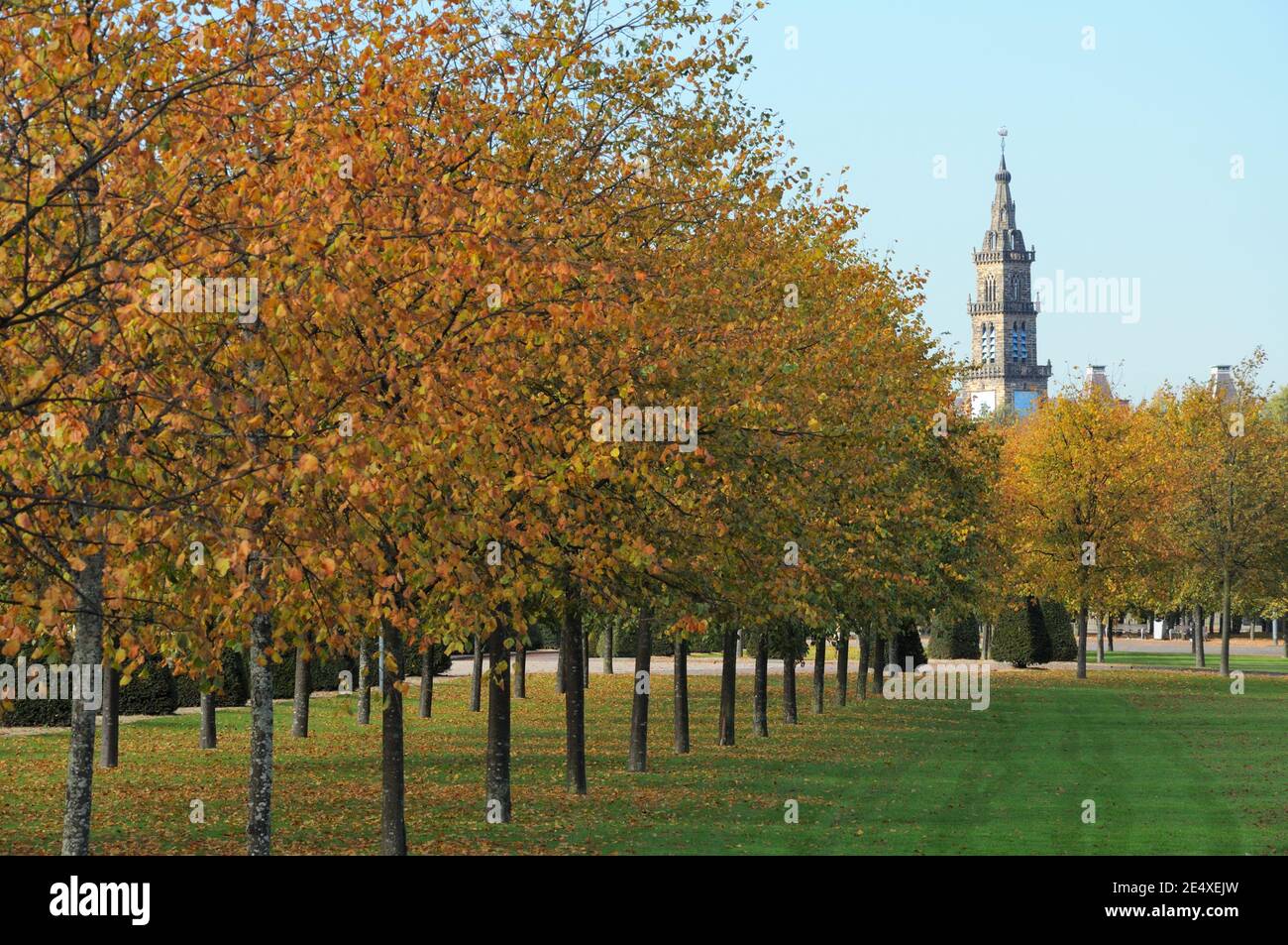 Glasgow Autumn Leaves Trees High Resolution Stock Photography and ...