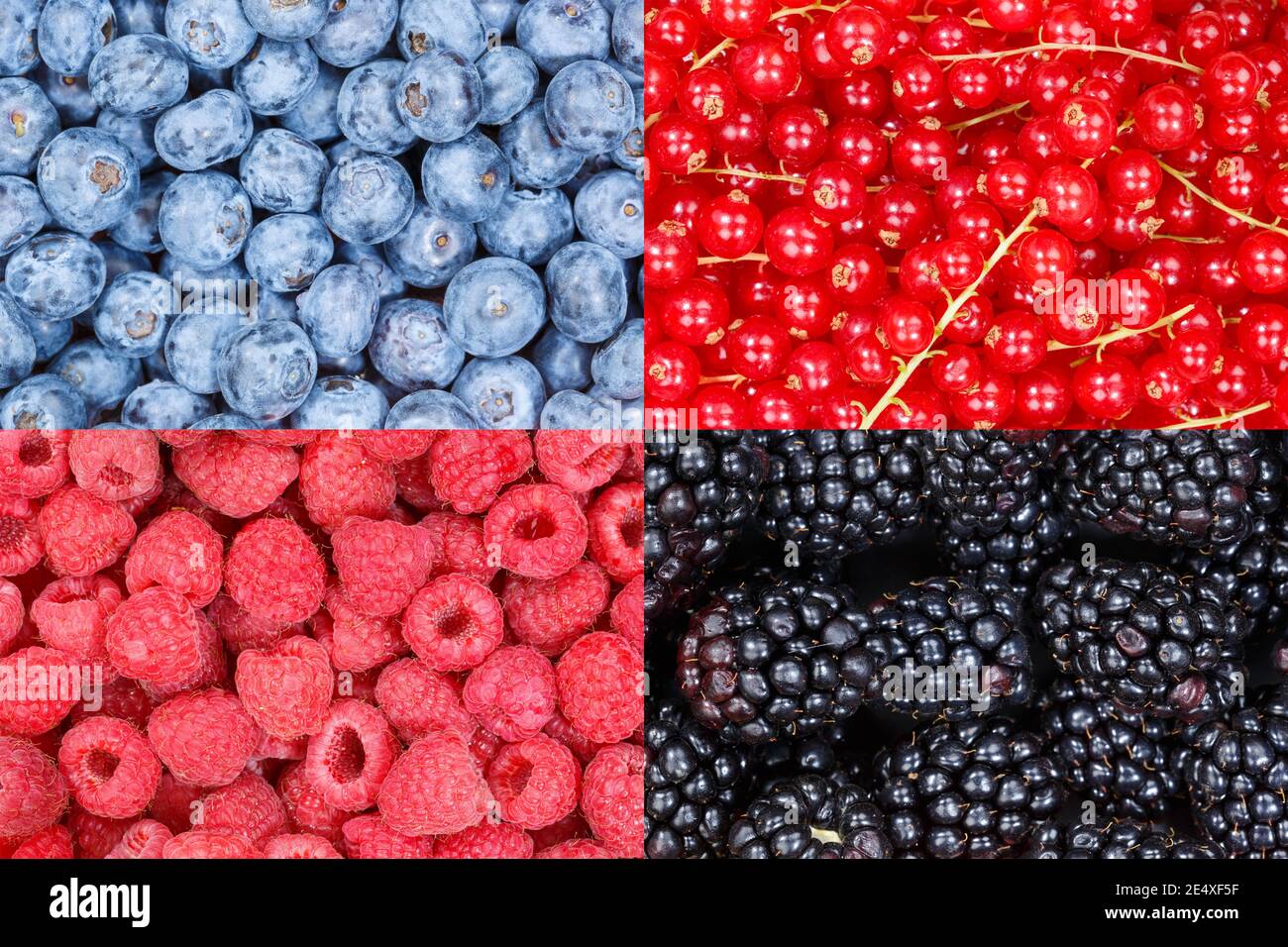 Berry fruits berries blueberries food background collection collage set ...