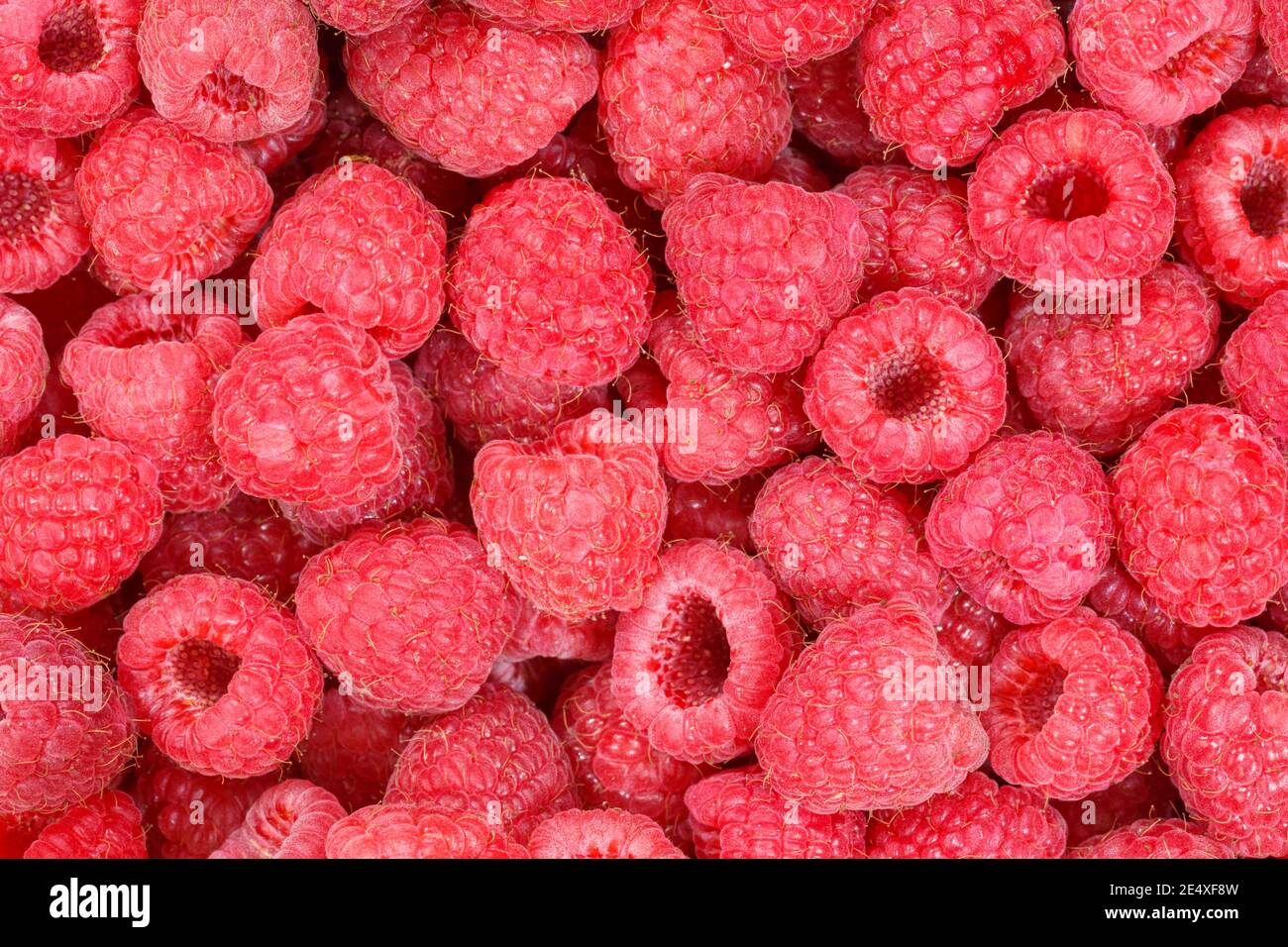 Raspberries berry fruits collection food background raspberry berries ...