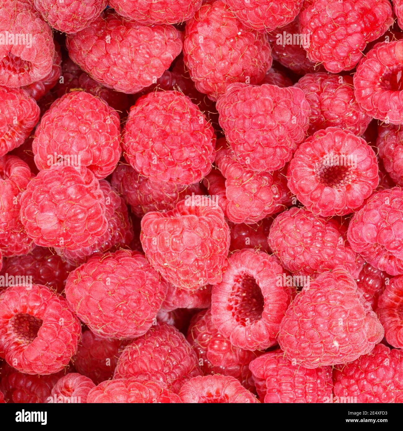 Raspberries berry fruits collection food background raspberry square ...