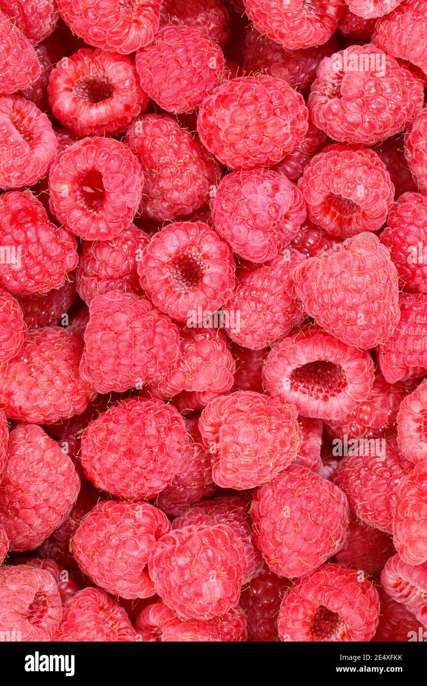Raspberries berry fruits collection food background portrait format ...