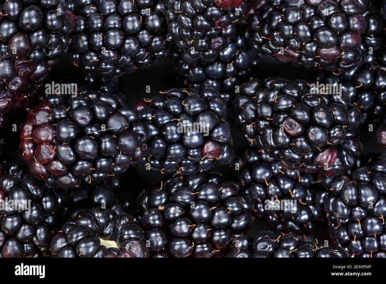 Blackberries berry fruits collection food background blackberry berries ...