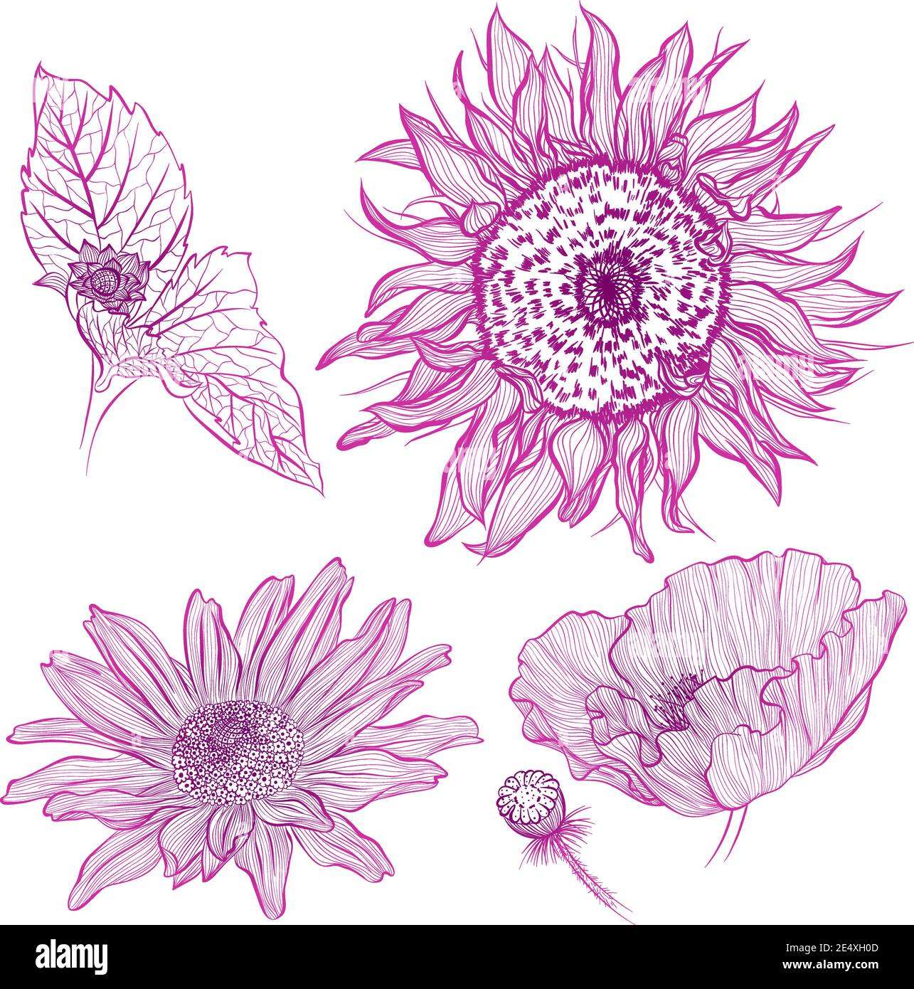 Vector illustration in line art style. Set of flowers of sunflower ...