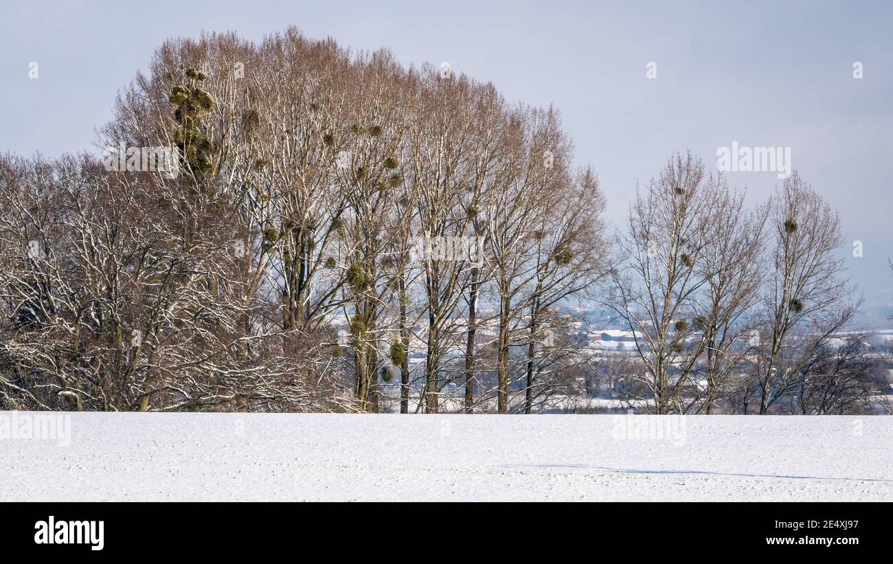 Winter Scene, Snowy Countryside Stock Photo - Alamy
