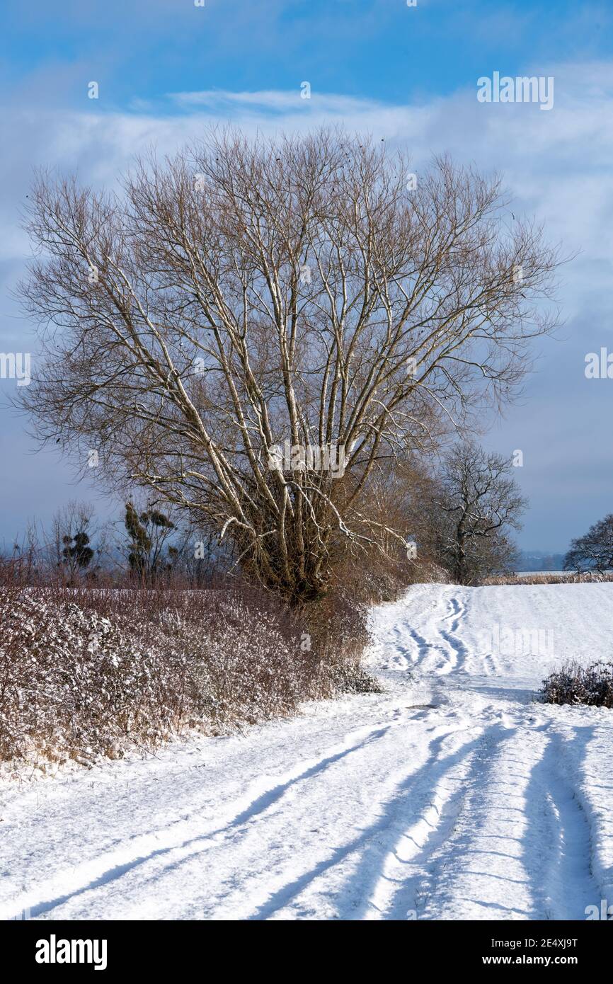 Winter countryside scene snowy hi-res stock photography and images - Alamy